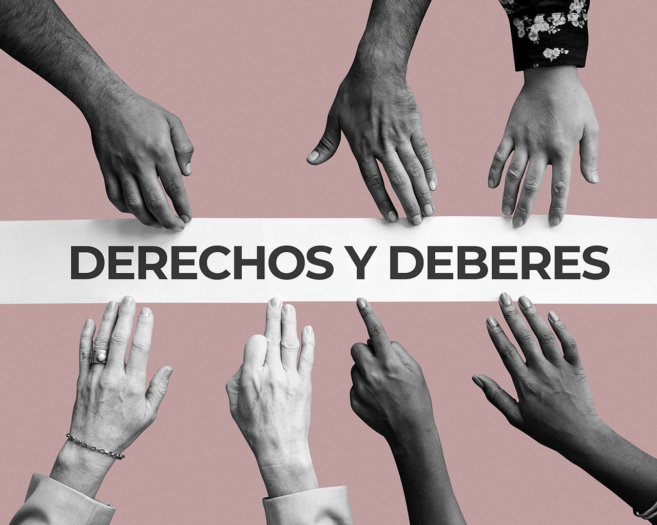 Carta de Deberes y Derechos del Afiliado y/o Ciudadano - Caja de Compensación Familiar de ...